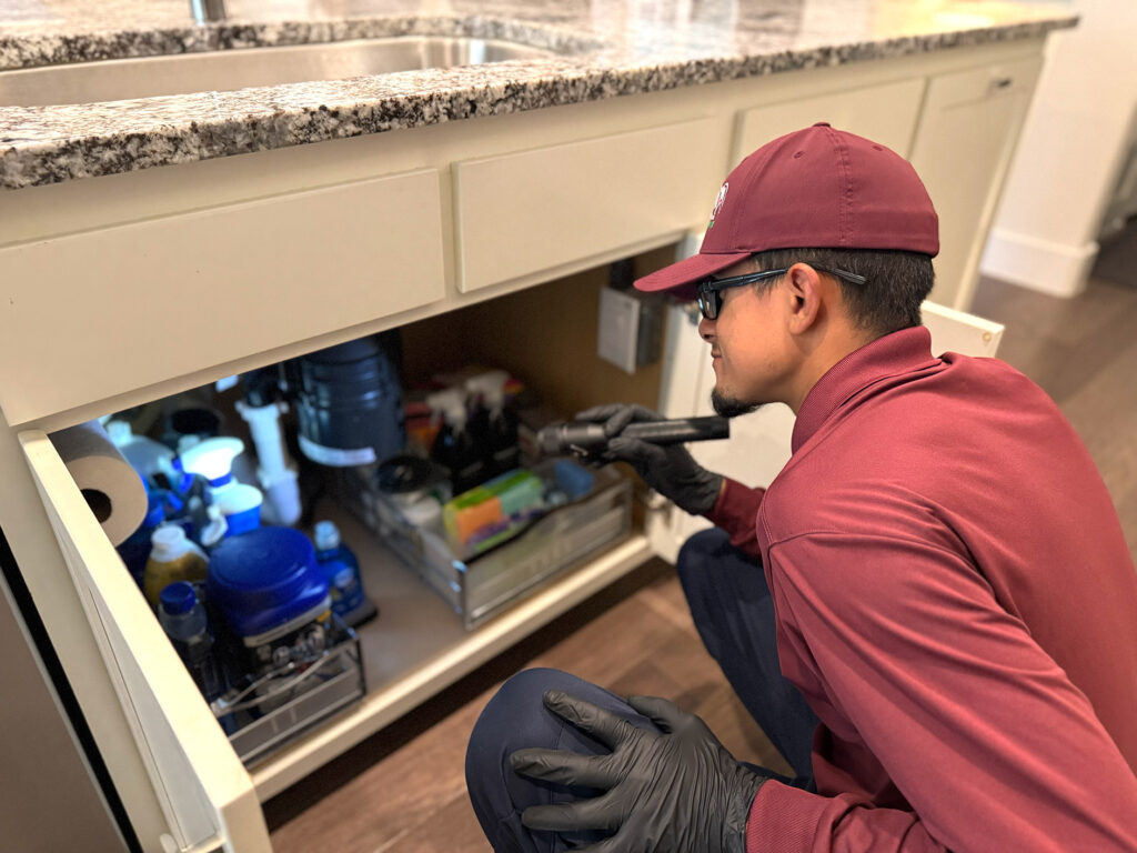 Termite Control in Dallas | ABC Home & Commercial Services