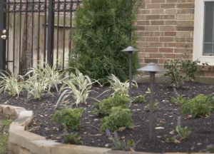 ABC Pest Control Of Houston | Houston, TX