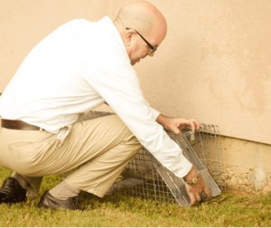 ABC Pest Control Of Houston | Houston, TX