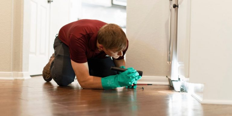 Pest Control Services in Livingston | ABC Home & Commercial